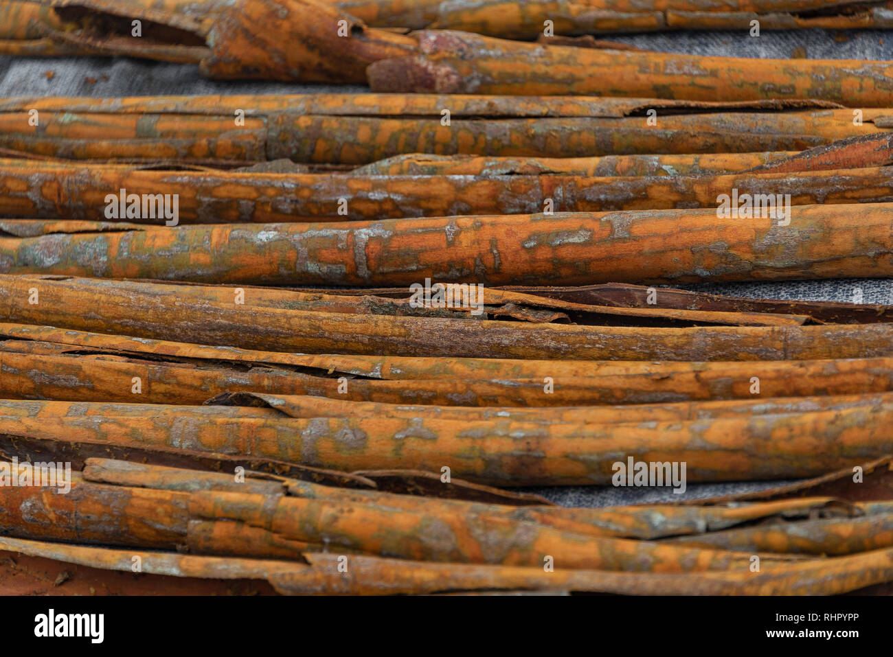 Cinnamon peel pieces and sticks Stock Photo - Alamy