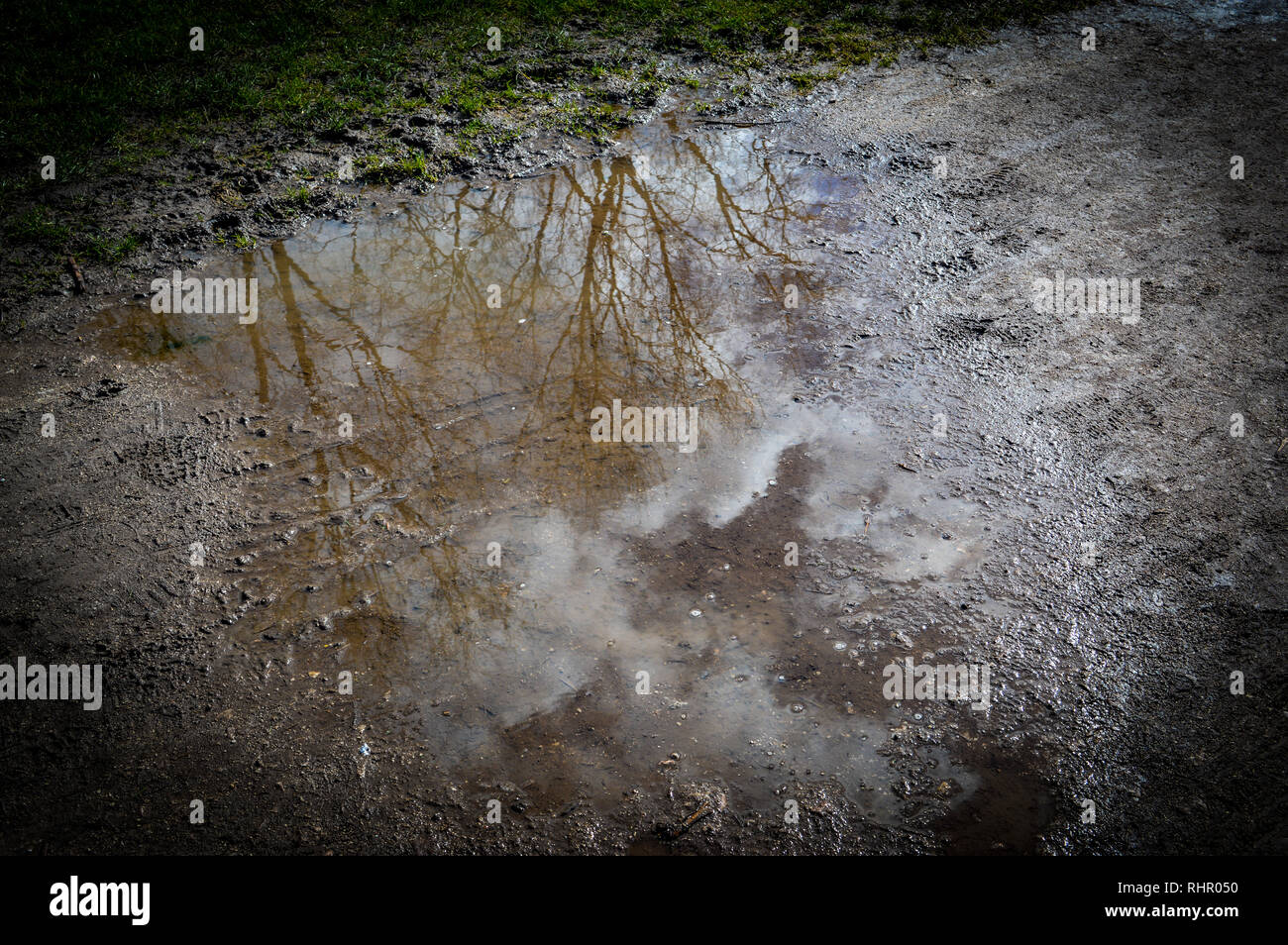 trees reflecting in a muddy puddle after a down pour of rain Stock ...