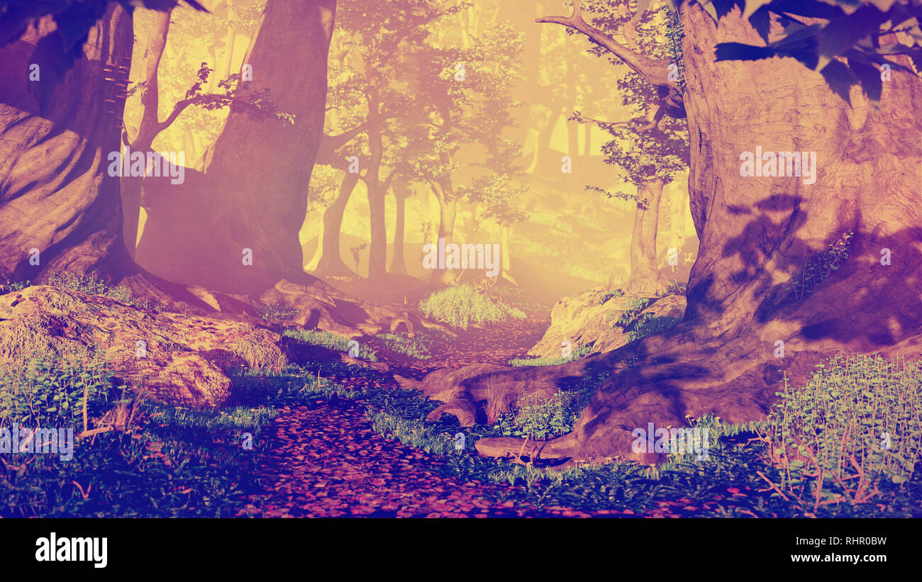 path through magical forest at sunrise, beautiful old trees in the ...