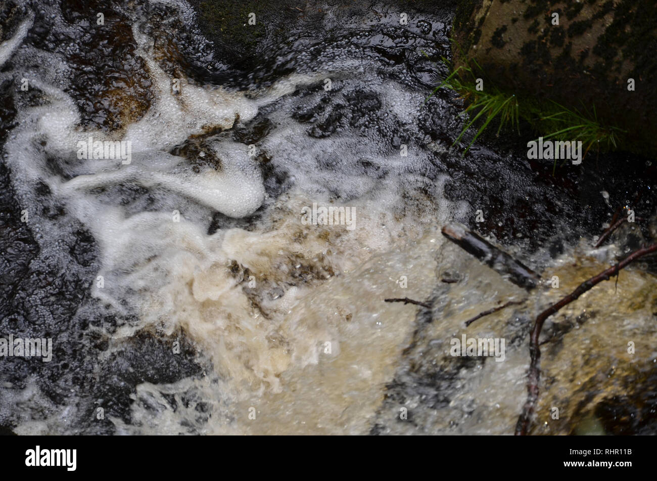 Face in the Wild Water Stock Photo - Alamy