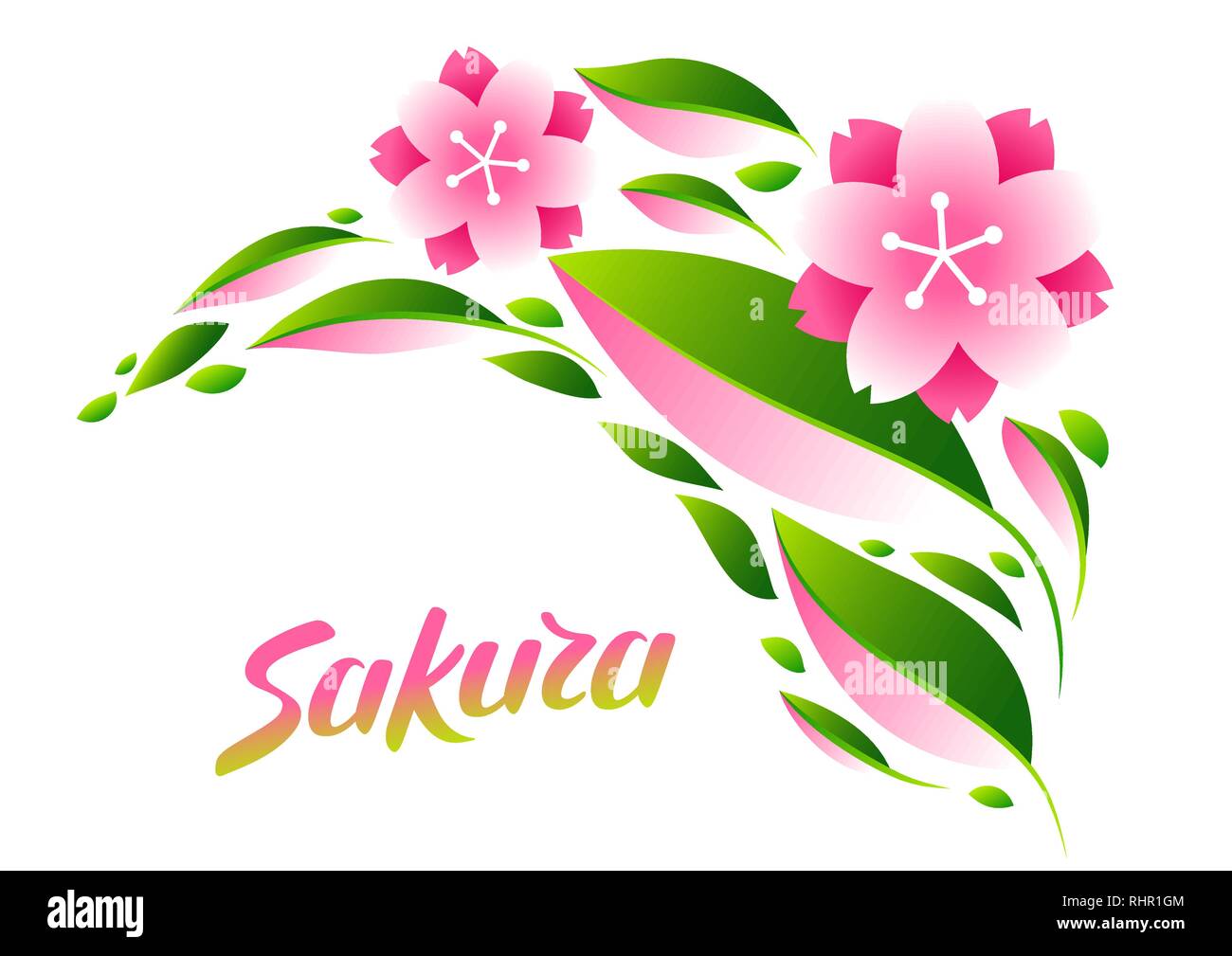 Sakura cherry invitation card Cut Out Stock Images & Pictures - Alamy
