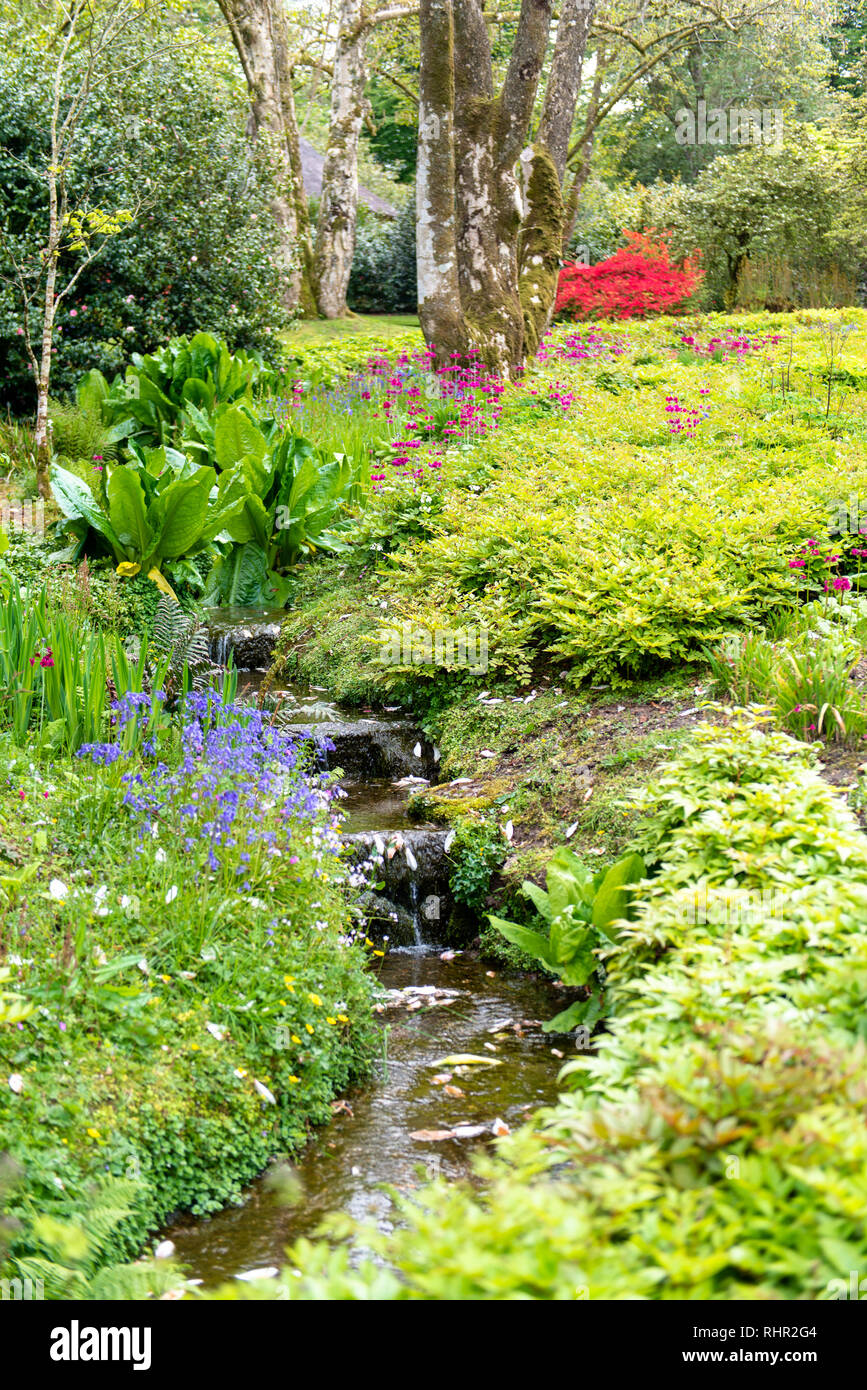Garden water feature green hi-res stock photography and images - Alamy