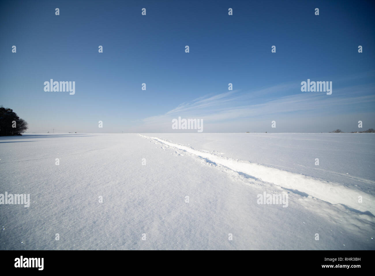 snowy field in winter. Winter landscape with snowy fields Stock Photo ...
