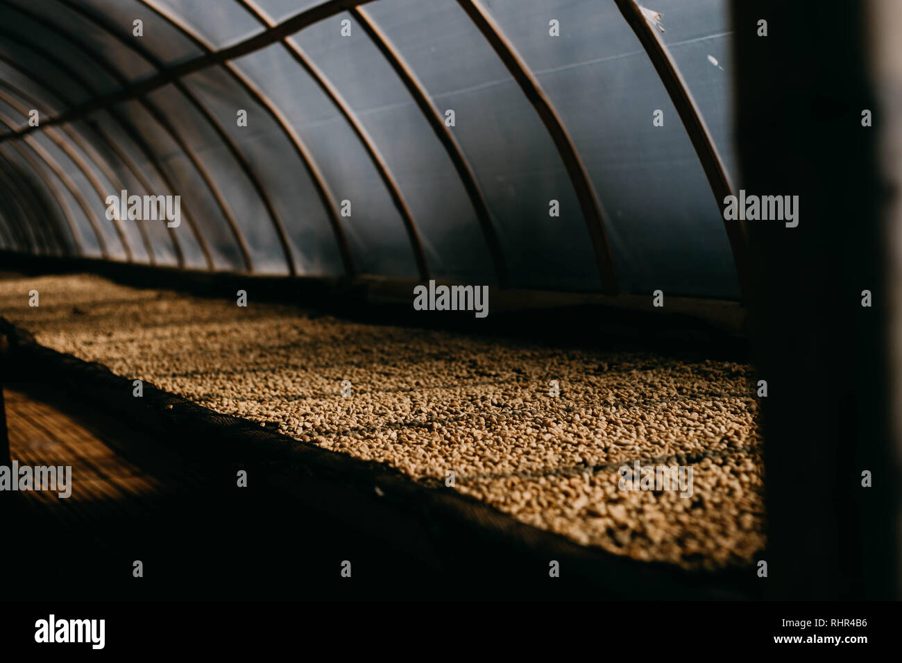 Natural process, dry process, unwashed, or natural sundried all refer ...