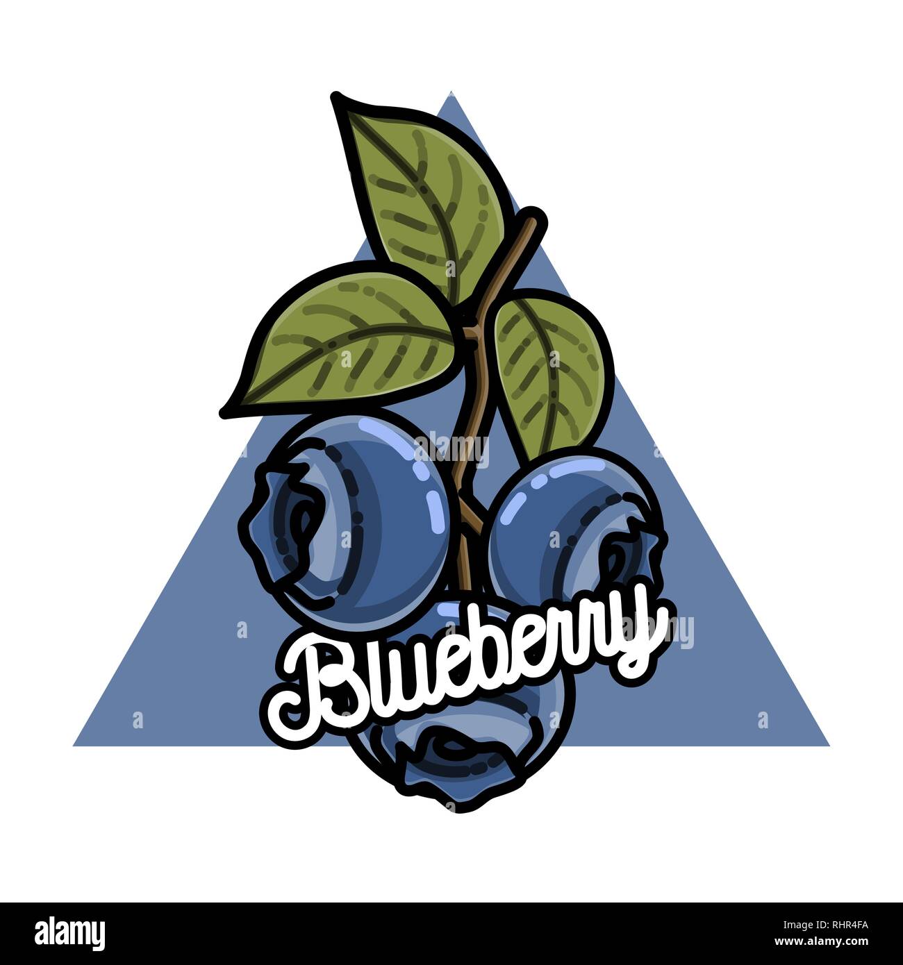 Color vintage fruits emblem Blueberry, label, badge and design elements ...