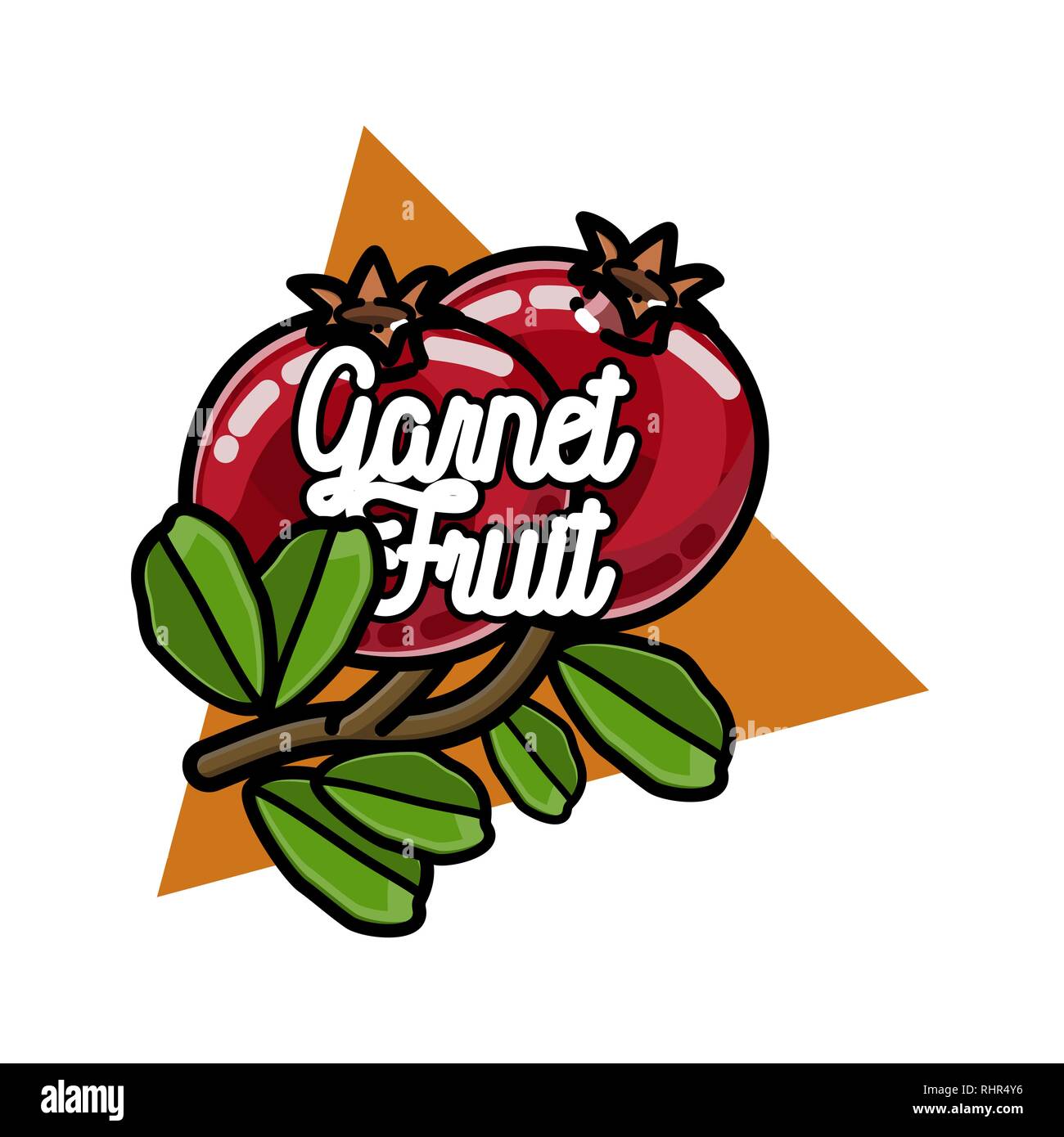 Color vintage fruit emblem. Garnet. Vector illustration EPS 10 Stock ...
