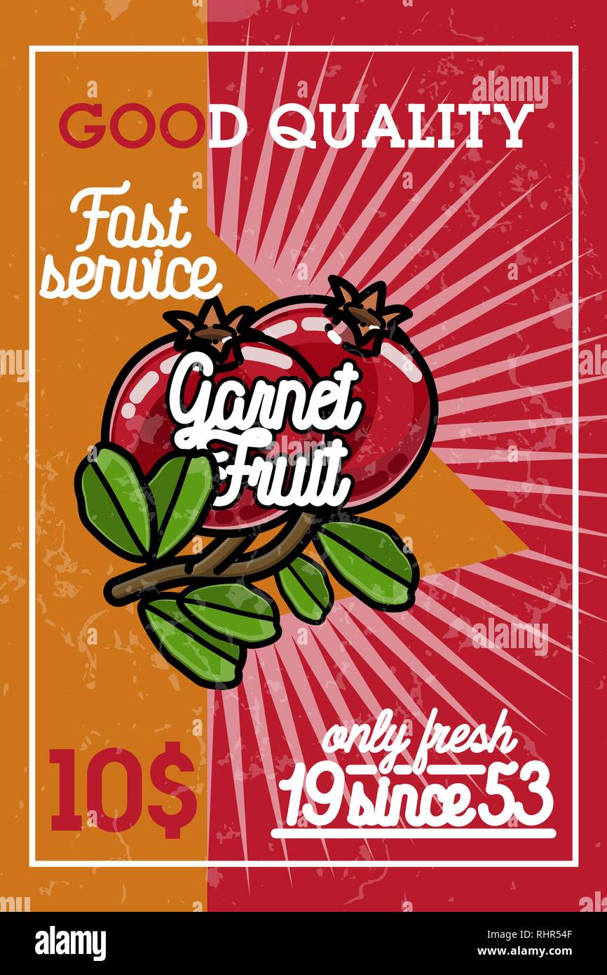 Color vintage fruit banner. Garnet. Vector illustration EPS 10 Stock ...