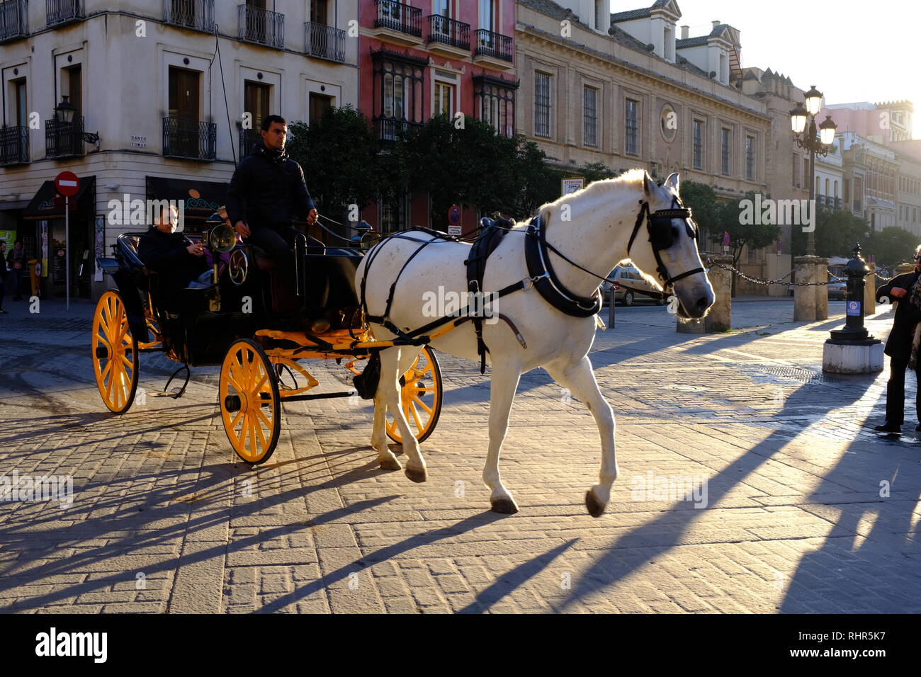 Horse and Carriage Rides around Seville at Espana Spain Stock Photo - Alamy