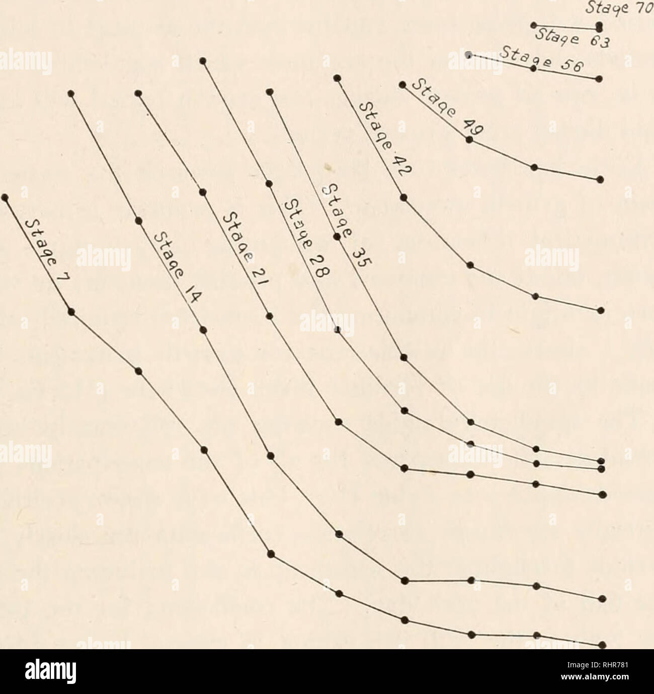 249 gram hi-res stock photography and images - Alamy