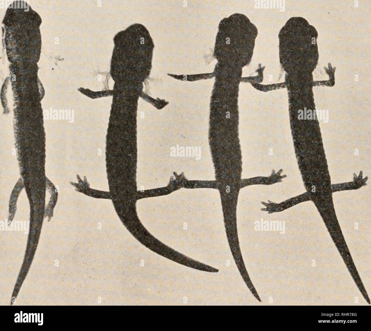 Swinging coil hi-res stock photography and images - Alamy