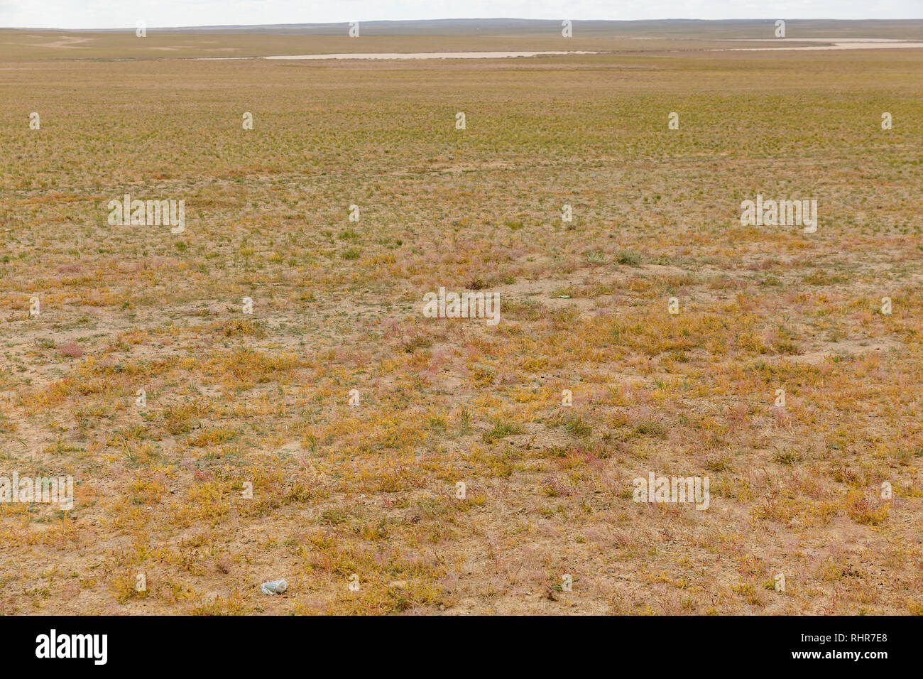 Mongolian landscape in the Gobi desert Mongolia Stock Photo - Alamy