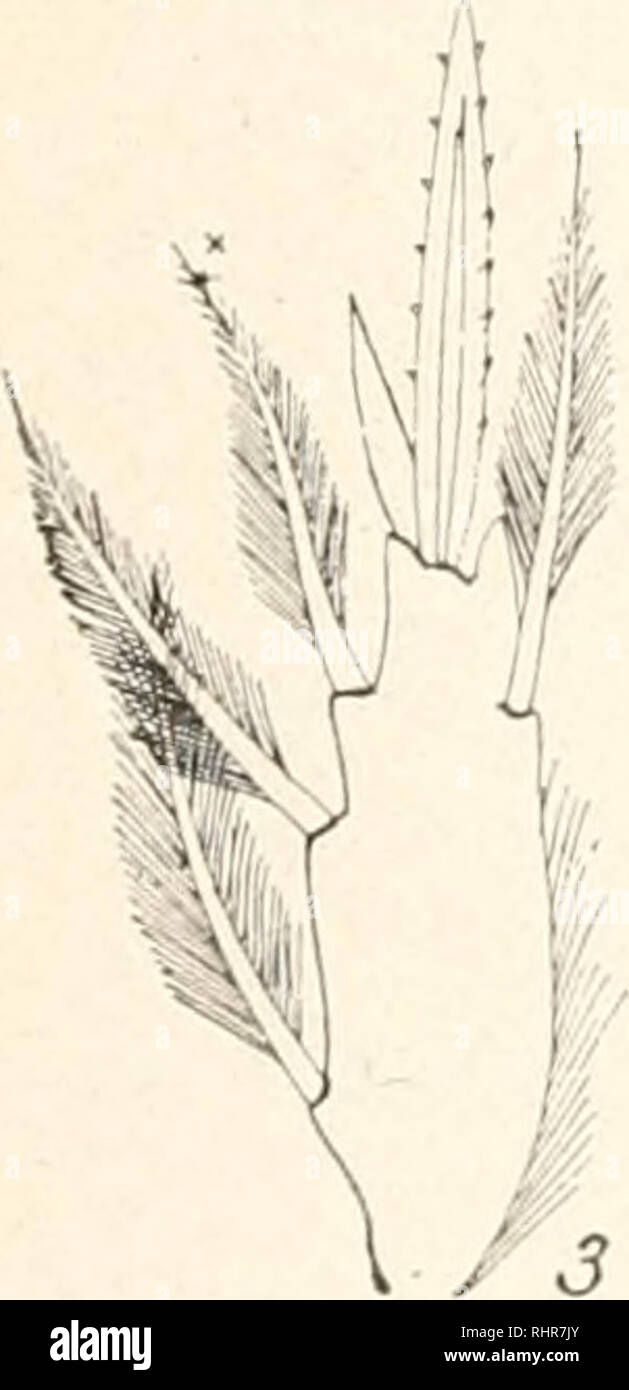 . The Biological bulletin. Biology; Zoology; Biology; Marine Biology ...