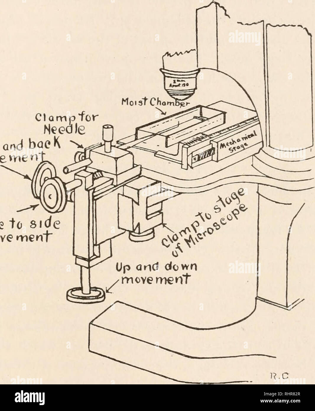 Micro dissection hi-res stock photography and images - Alamy