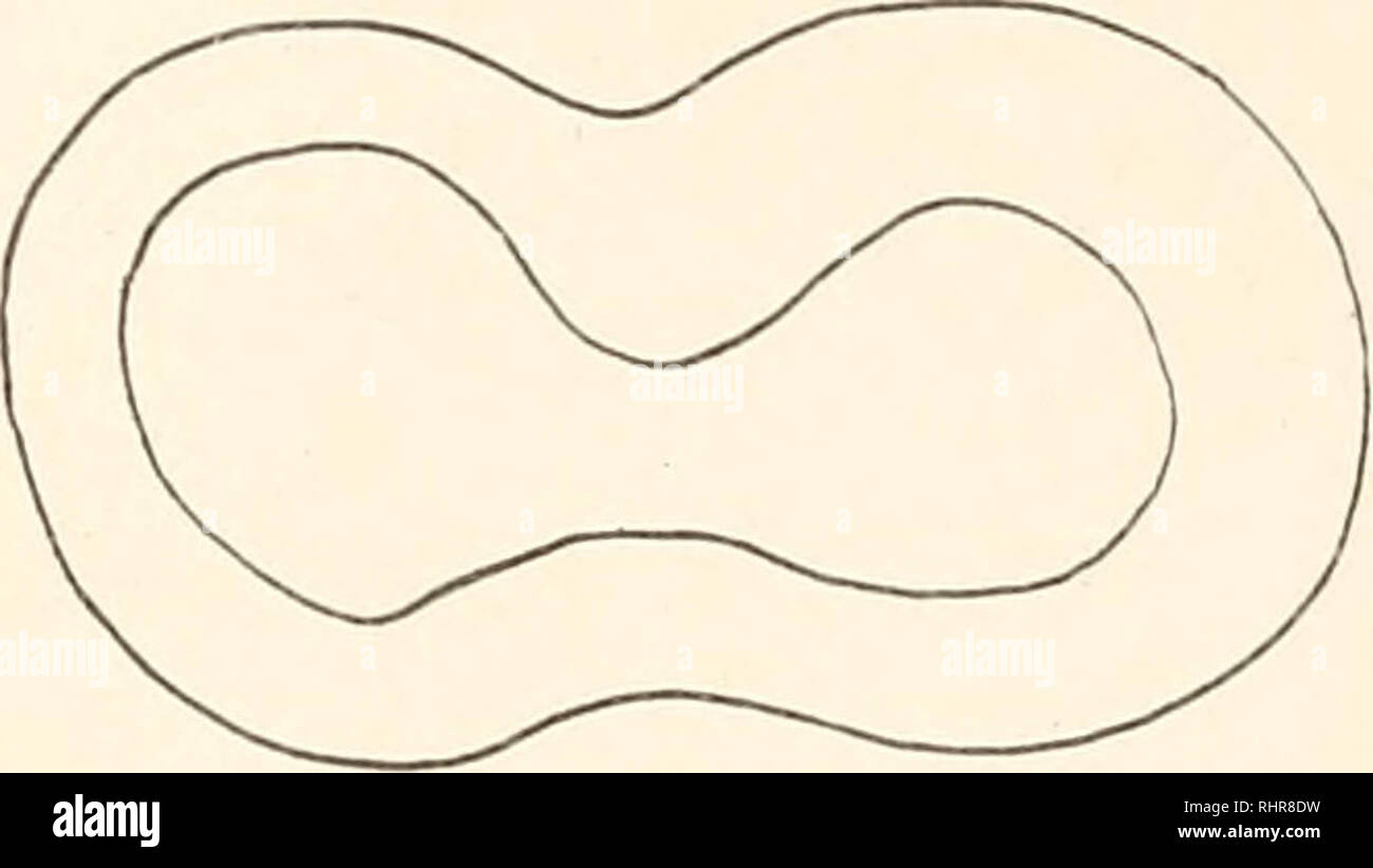 . The Biological bulletin. Biology; Zoology; Biology; Marine Biology ...