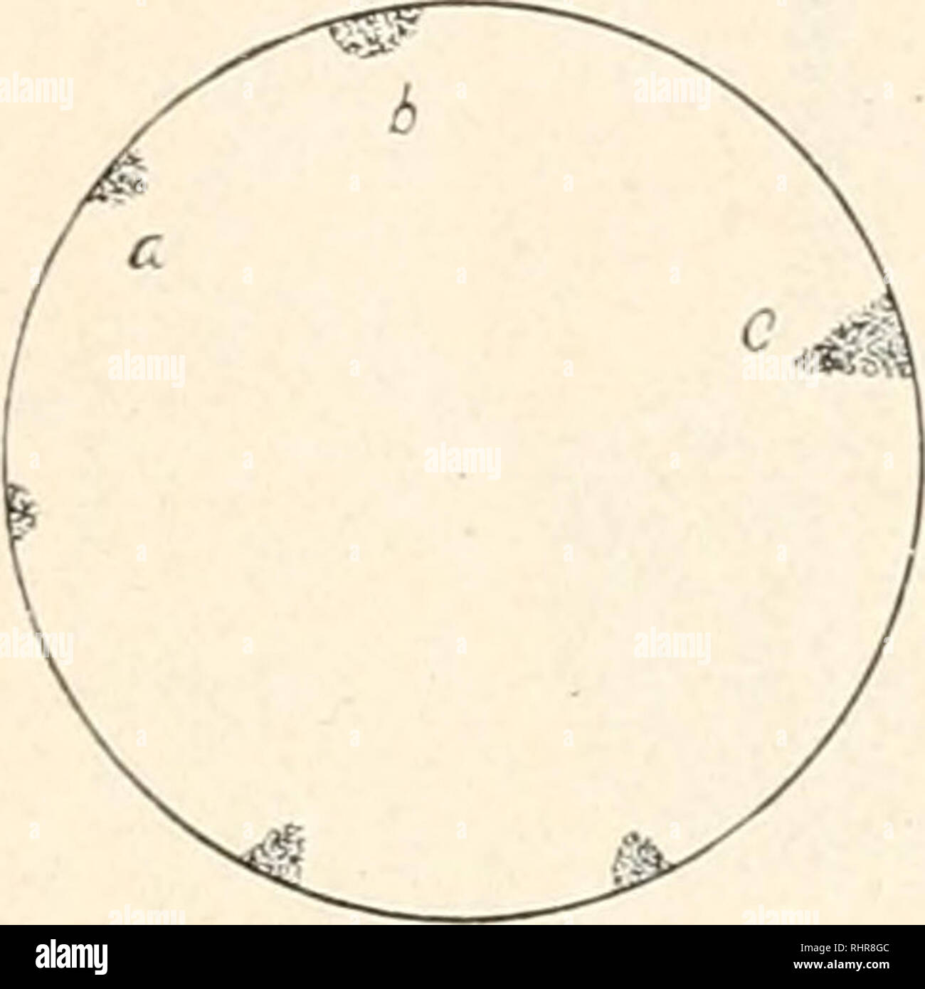 Late yolk plug hi-res stock photography and images - Alamy