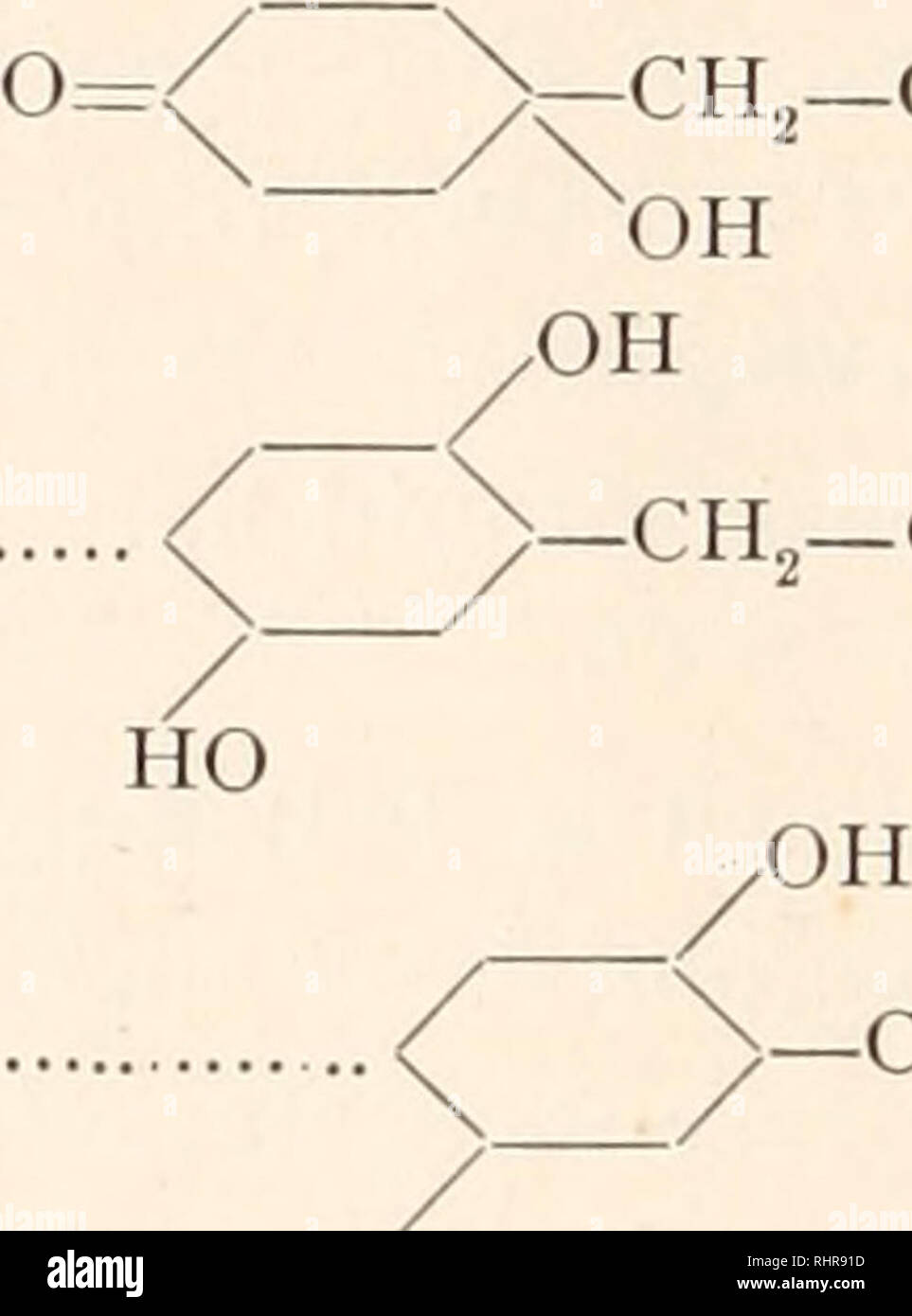 Nh2 ch2 cooh hi-res stock photography and images - Alamy