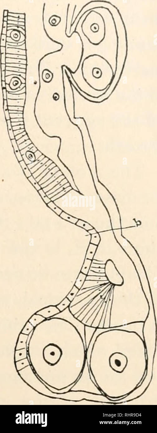 Nucleus Drawing Nuke Nuclear Cloud Face Smoke Giant Wall Art New