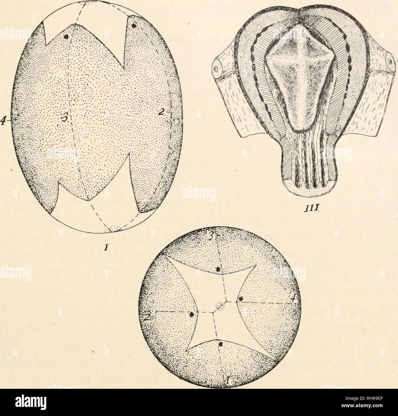 . The Biological bulletin. Biology; Zoology; Biology; Marine Biology ...