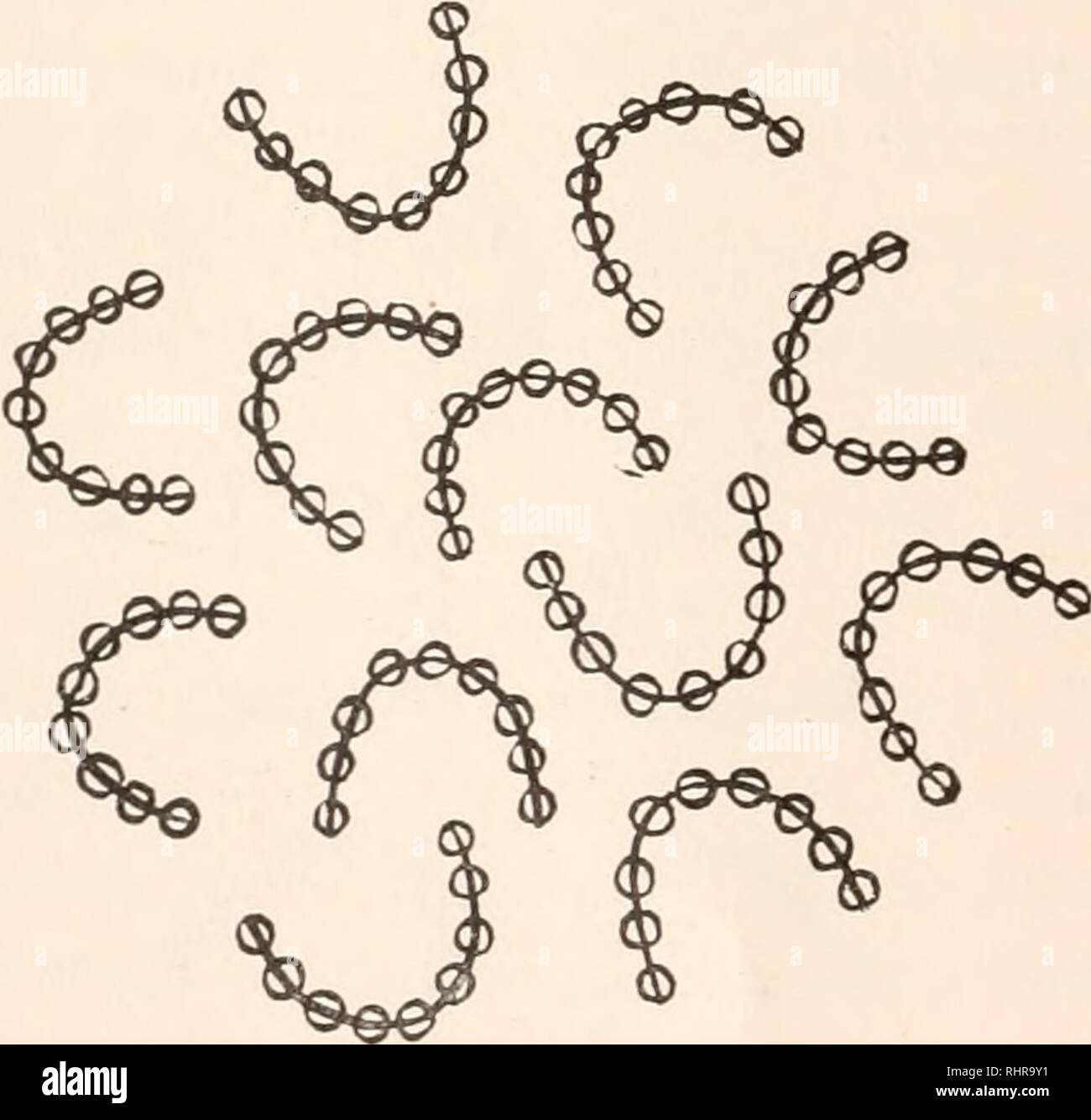 . The Biological bulletin. Biology; Zoology; Biology; Marine Biology ...