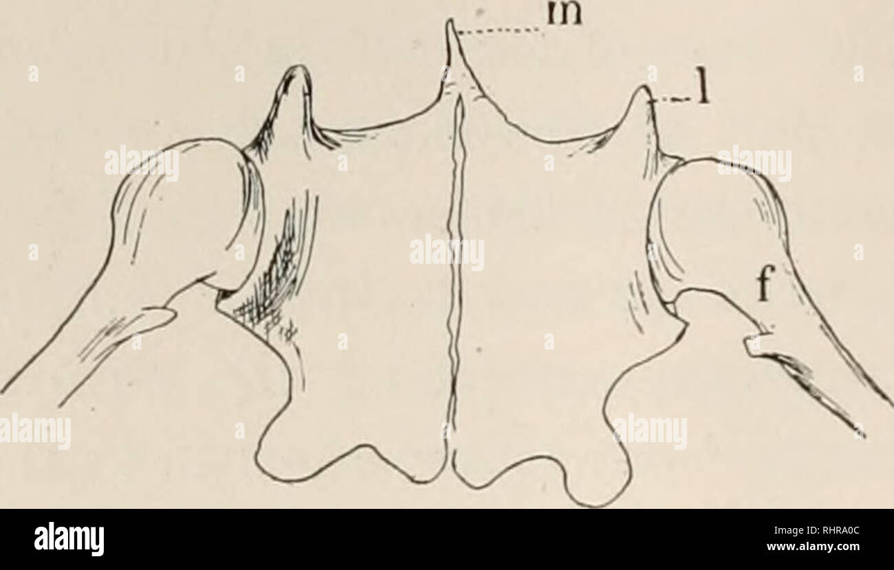 . The Biological bulletin. Biology; Zoology; Biology; Marine Biology ...