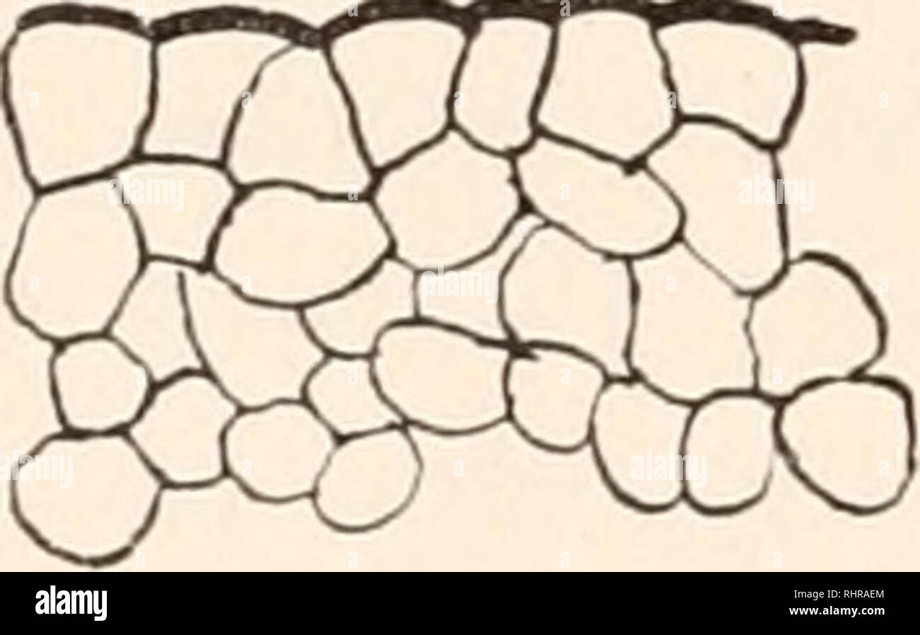 Sphere migration hi-res stock photography and images - Alamy