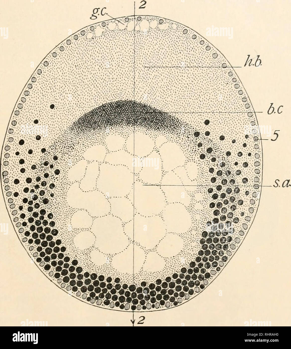 Centrip hi-res stock photography and images - Alamy