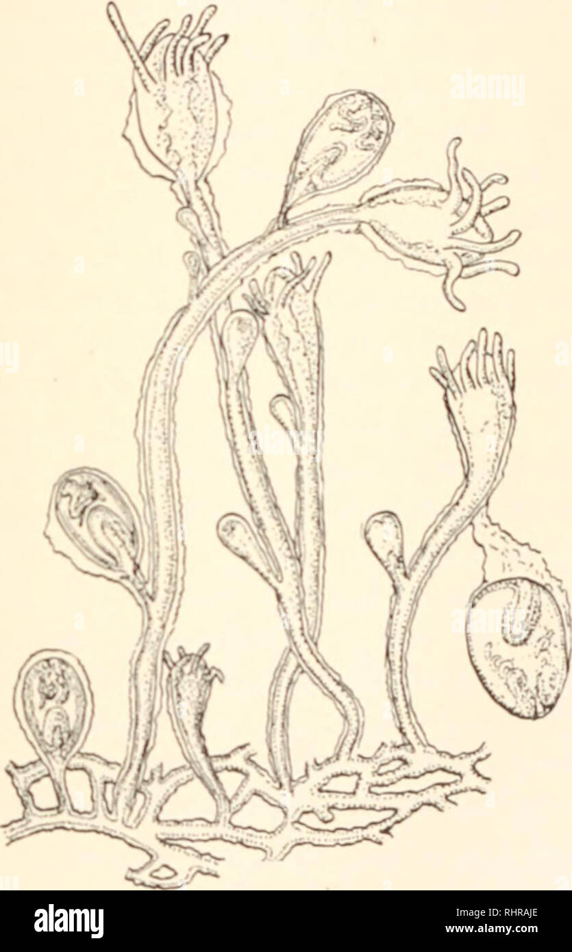 Height 77 Mm High Resolution Stock Photography and Images - Alamy