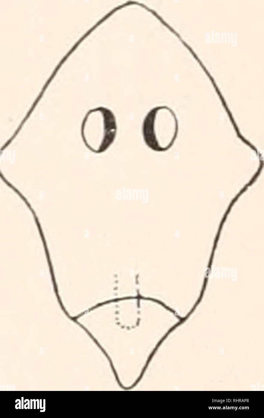 . The Biological bulletin. Biology; Zoology; Biology; Marine Biology ...