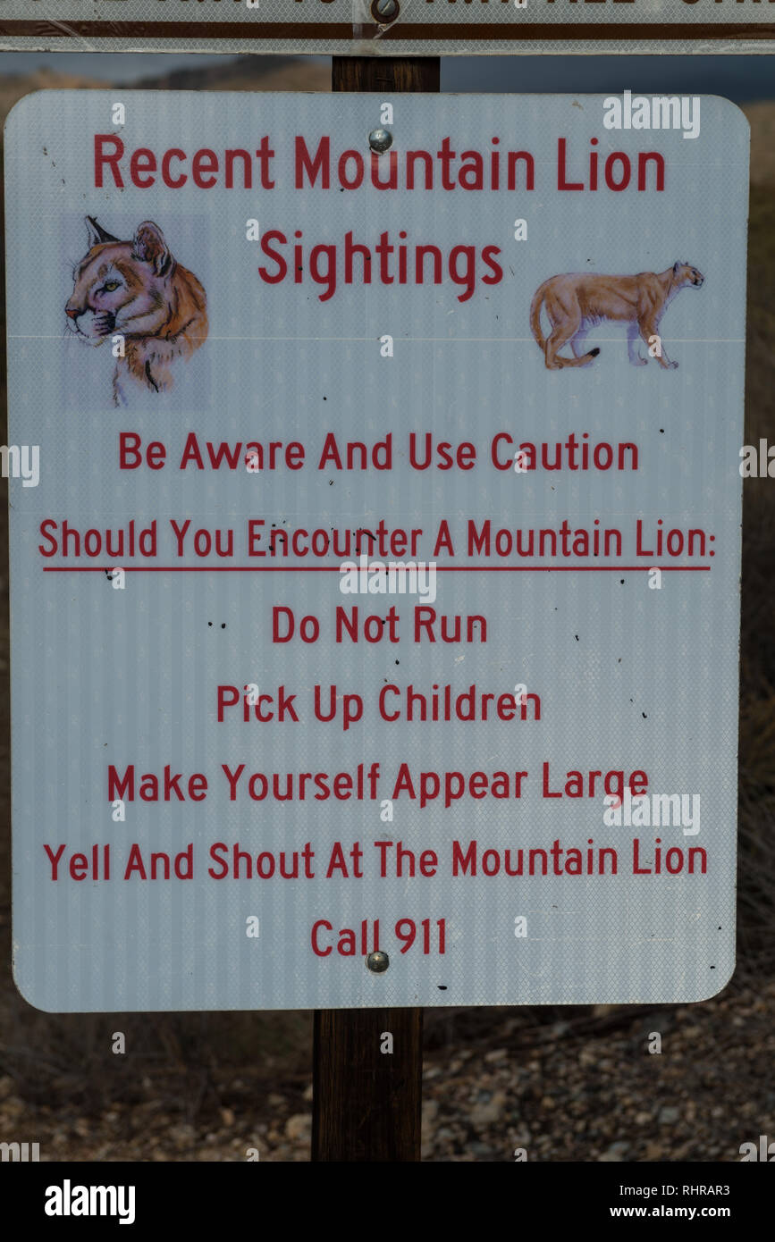 Lion warning sign hi-res stock photography and images - Alamy