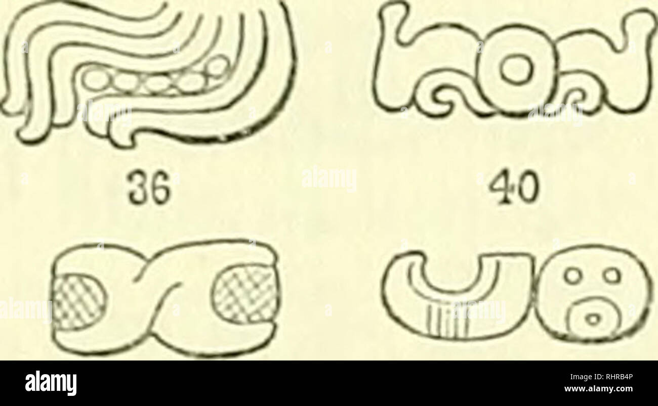 Mayan Numerals 1 100