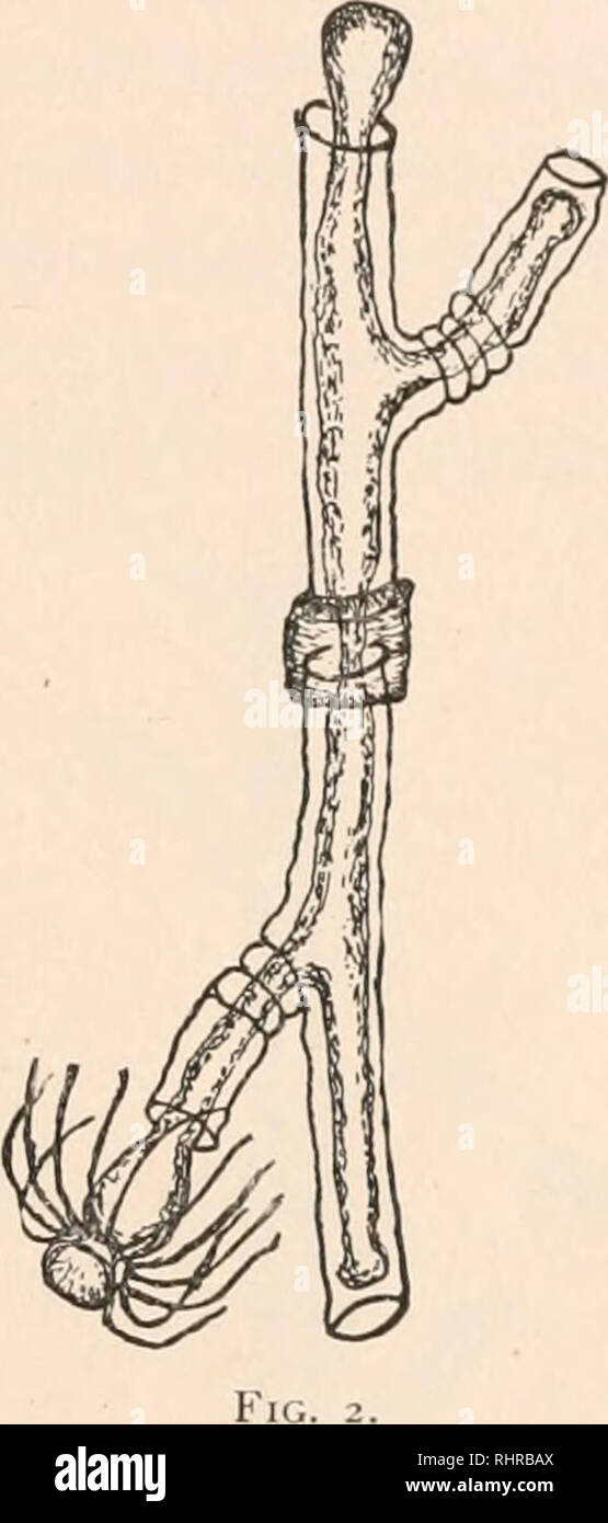 Automaticity hi-res stock photography and images - Alamy