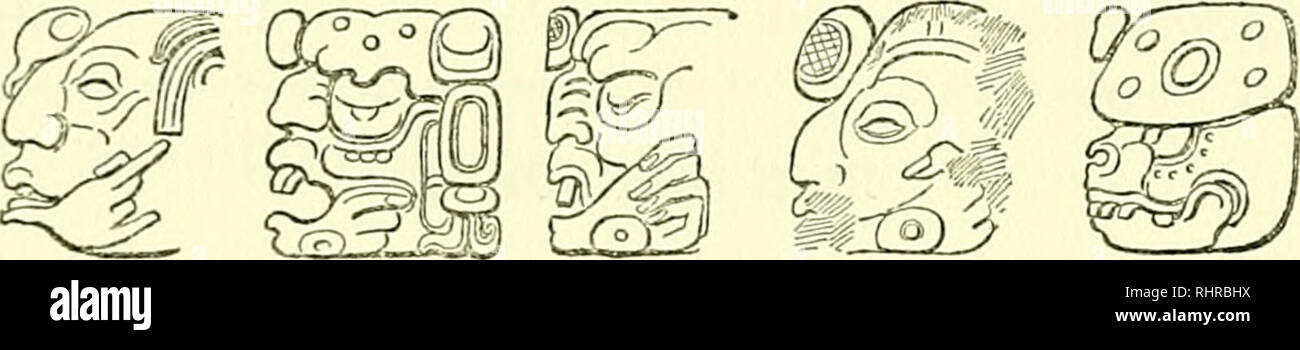 Mayan face characteristics hi-res stock photography and images - Alamy