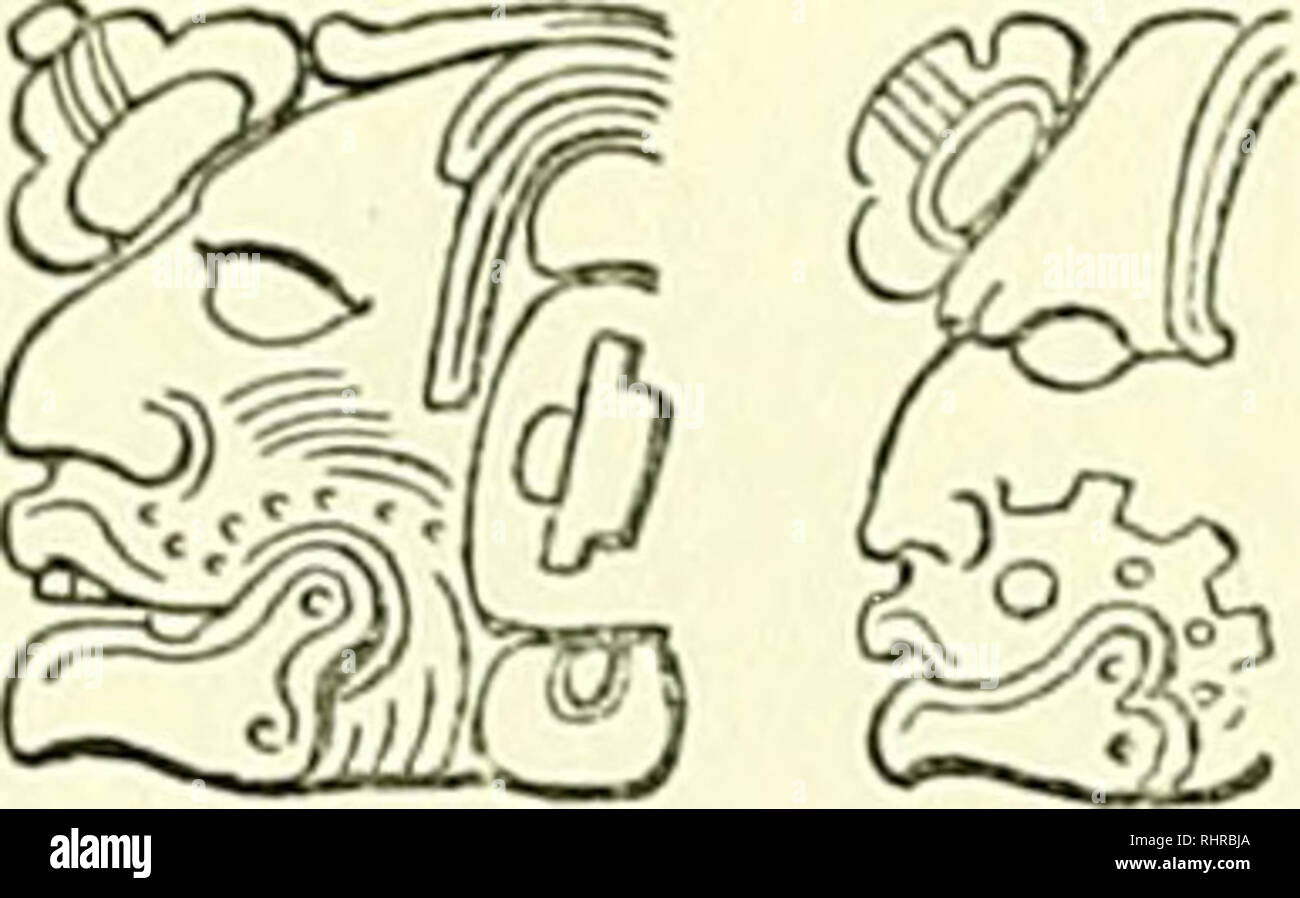 . Biologia Centrali-Americana, or, Contributions to the knowledge of ...