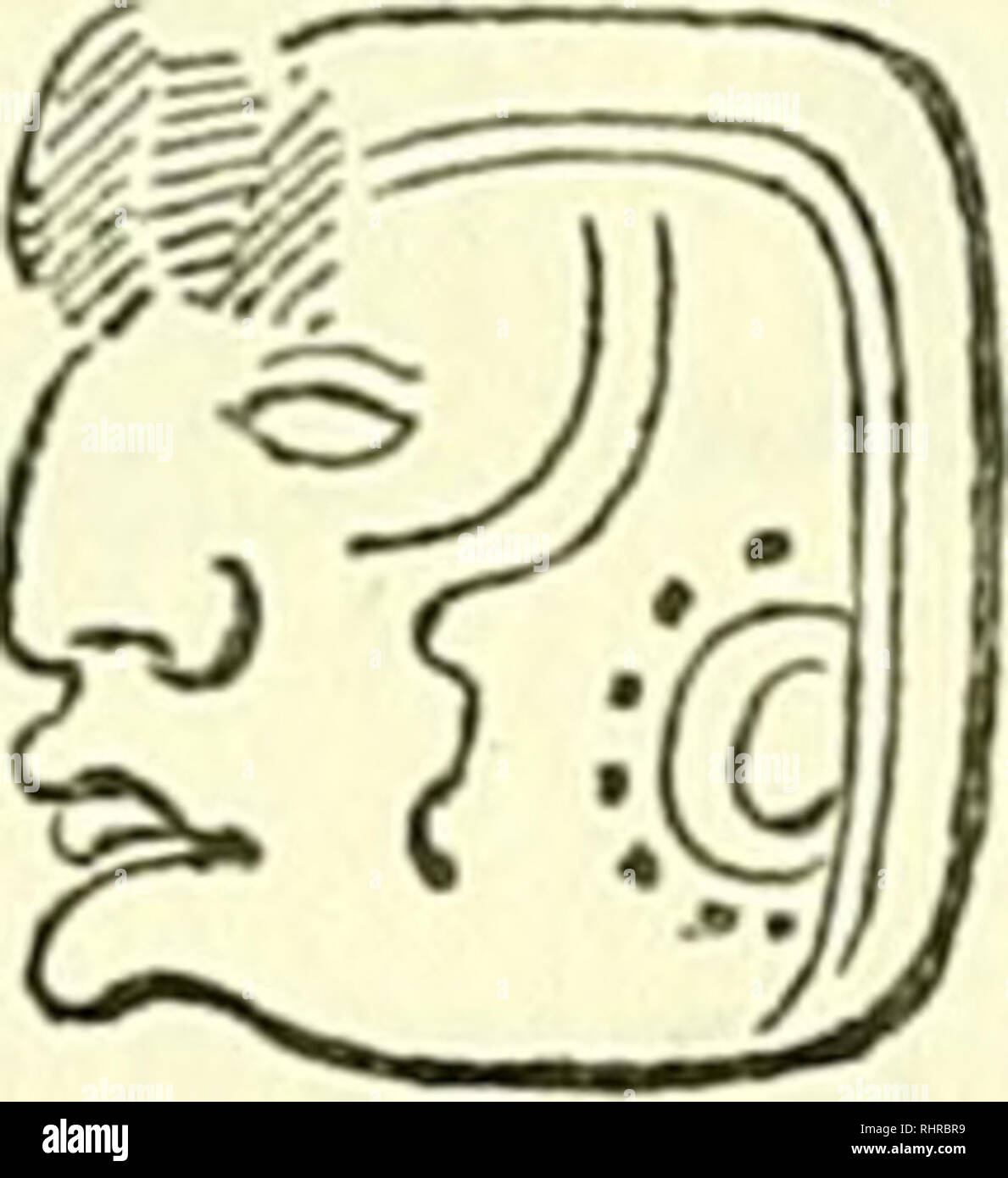 Mayan numbers hi-res stock photography and images - Alamy