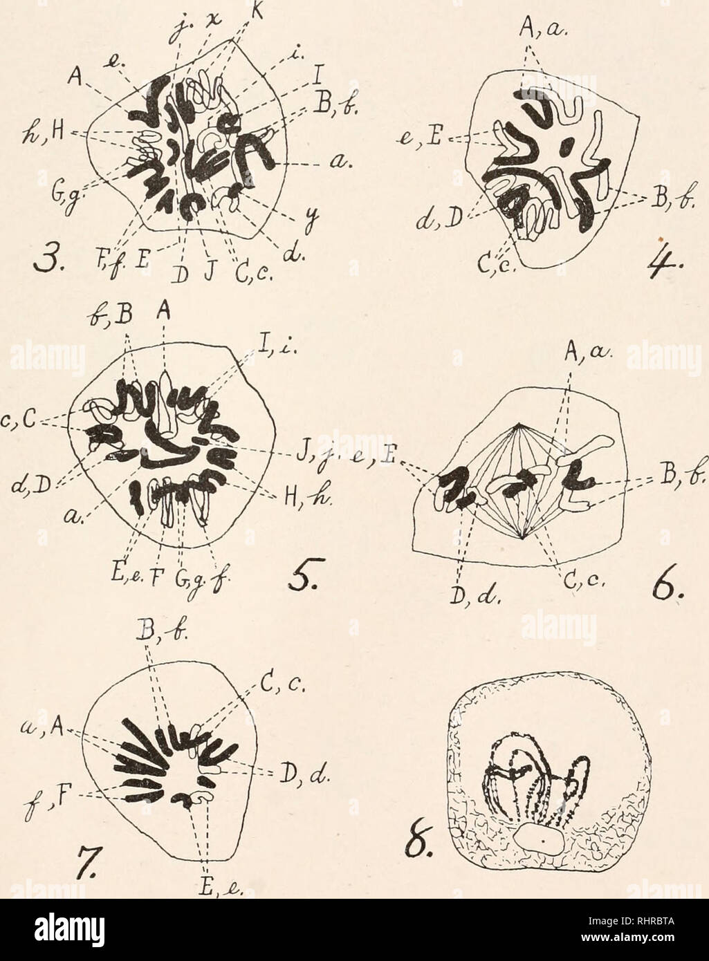 . The Biological bulletin. Biology; Zoology; Biology; Marine Biology. 3 ...