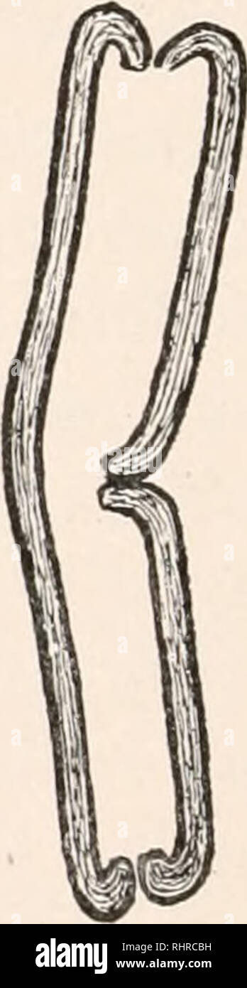 Transverse bend hi-res stock photography and images - Alamy