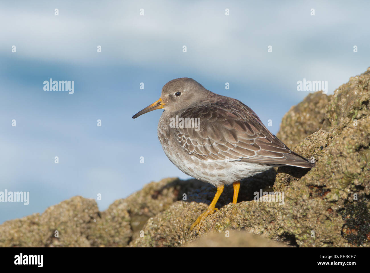 Grupos pequeños hi-res stock photography and images - Alamy