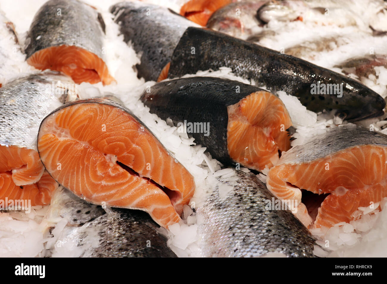 Pink fish hi-res stock photography and images - Alamy