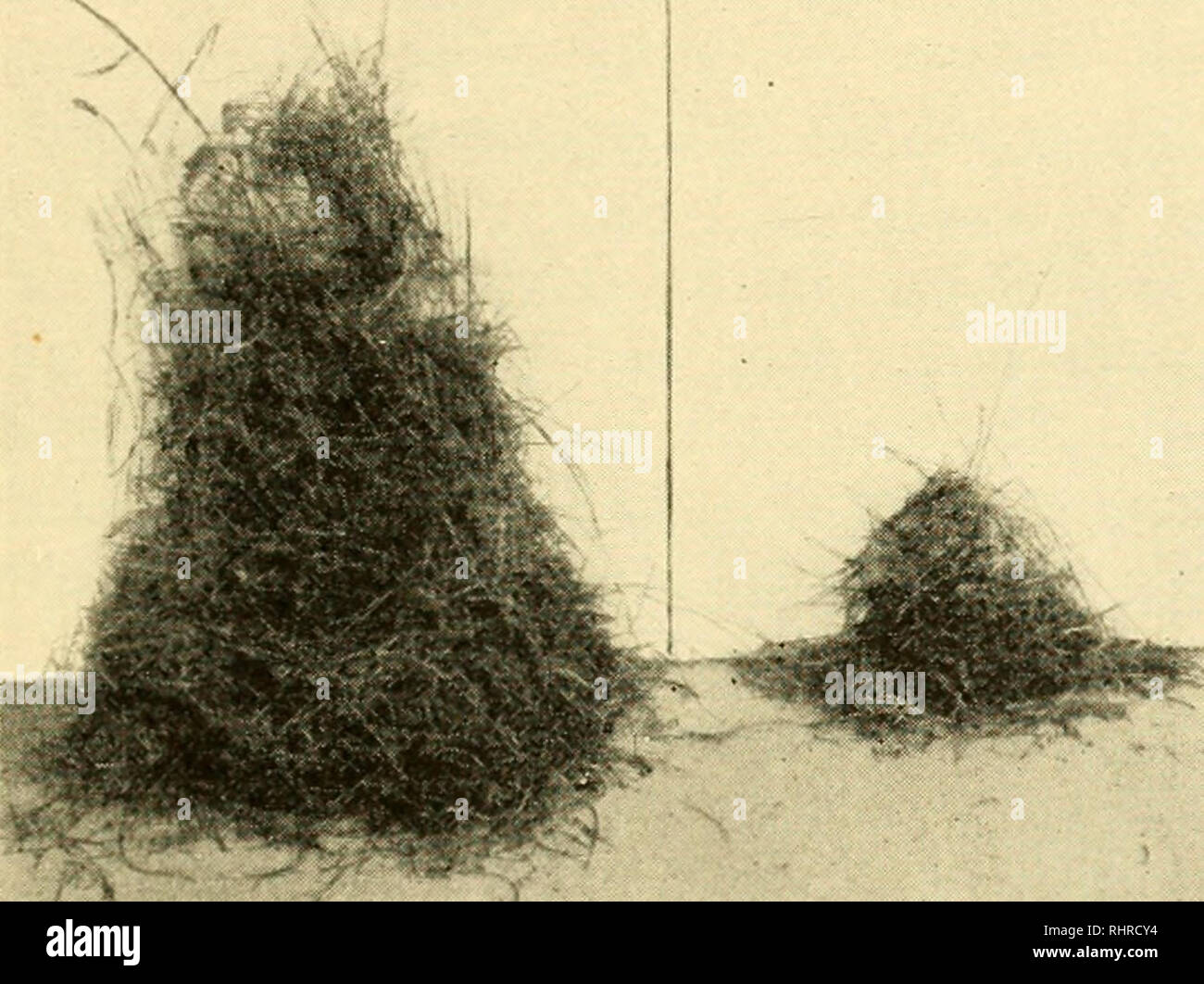 Subterranean exhibit hi-res stock photography and images - Alamy