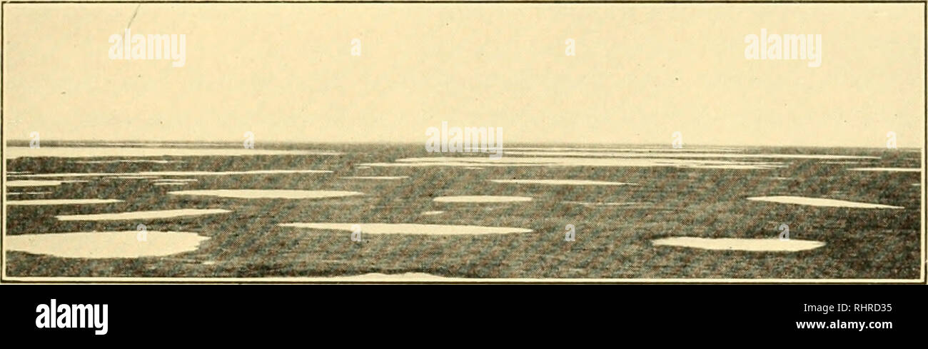 Shallowing of rivers hi-res stock photography and images - Alamy