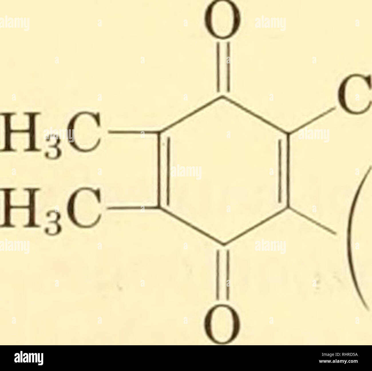 . Biochemical systematics. Biochemical variation; Botany. O O ...