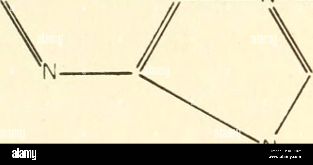 Oxypurine hi-res stock photography and images - Alamy