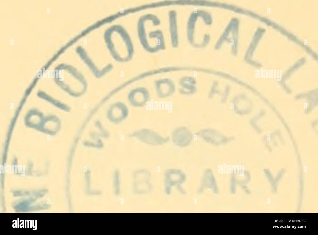 Plant And Animal Organisms