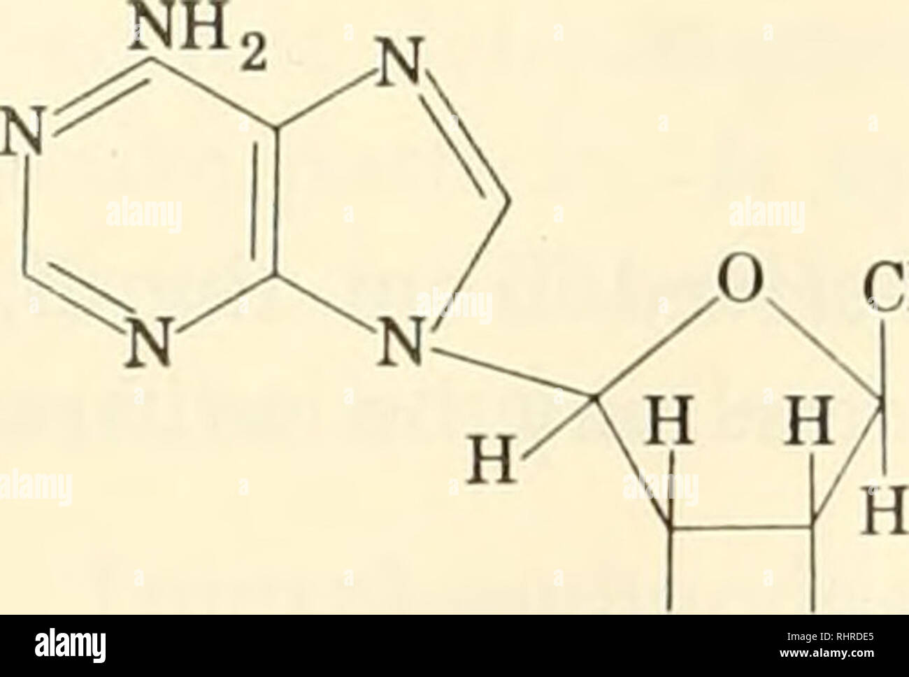Acetyl Group Structure