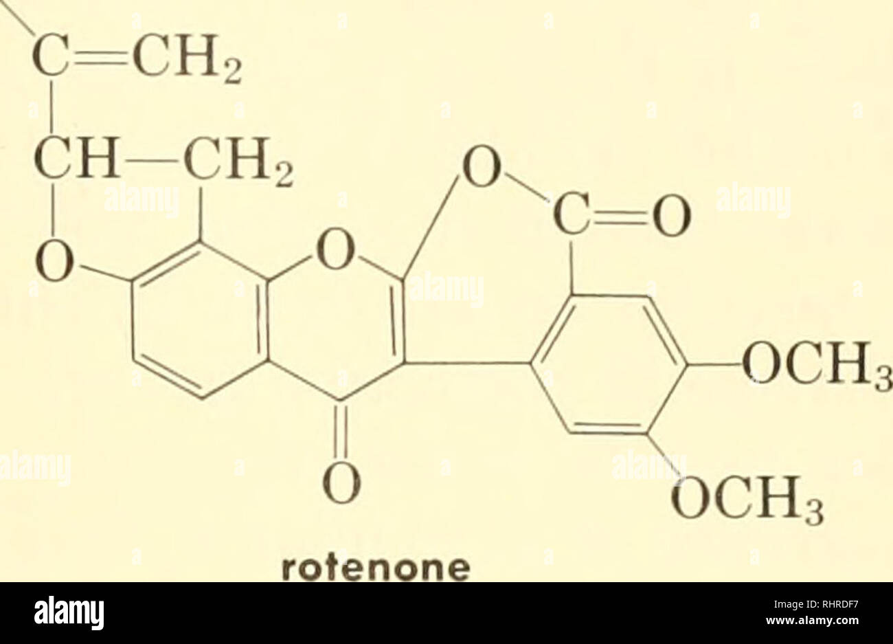Rotenoids hi-res stock photography and images - Alamy