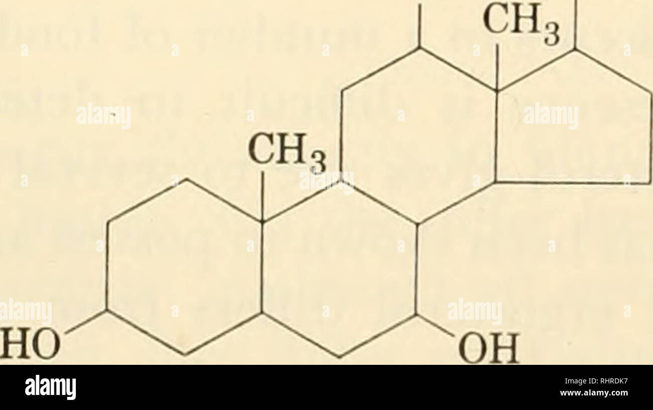 . Biochemistry of plants and animals, an introduction. Biochemistry. CH ...