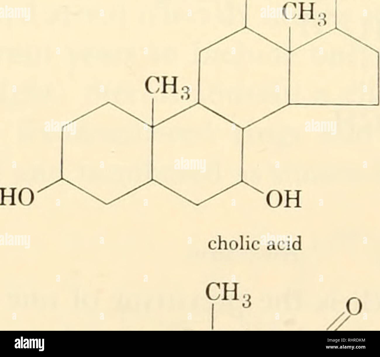 . Biochemistry of plants and animals, an introduction. Biochemistry. 94 ...