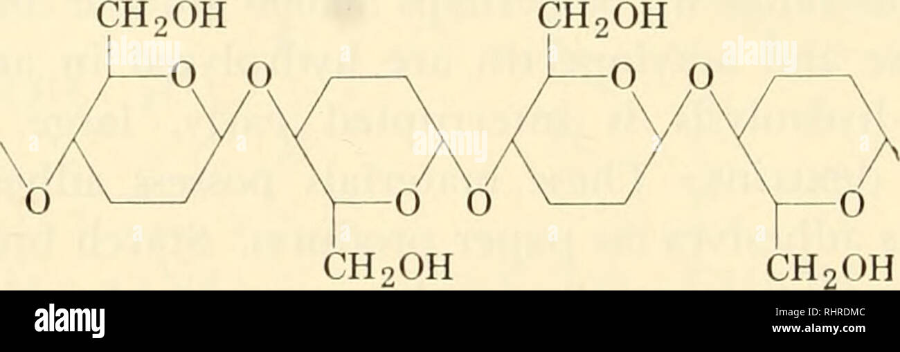 . Biochemistry of plants and animals, an introduction. Biochemistry. 68 ...
