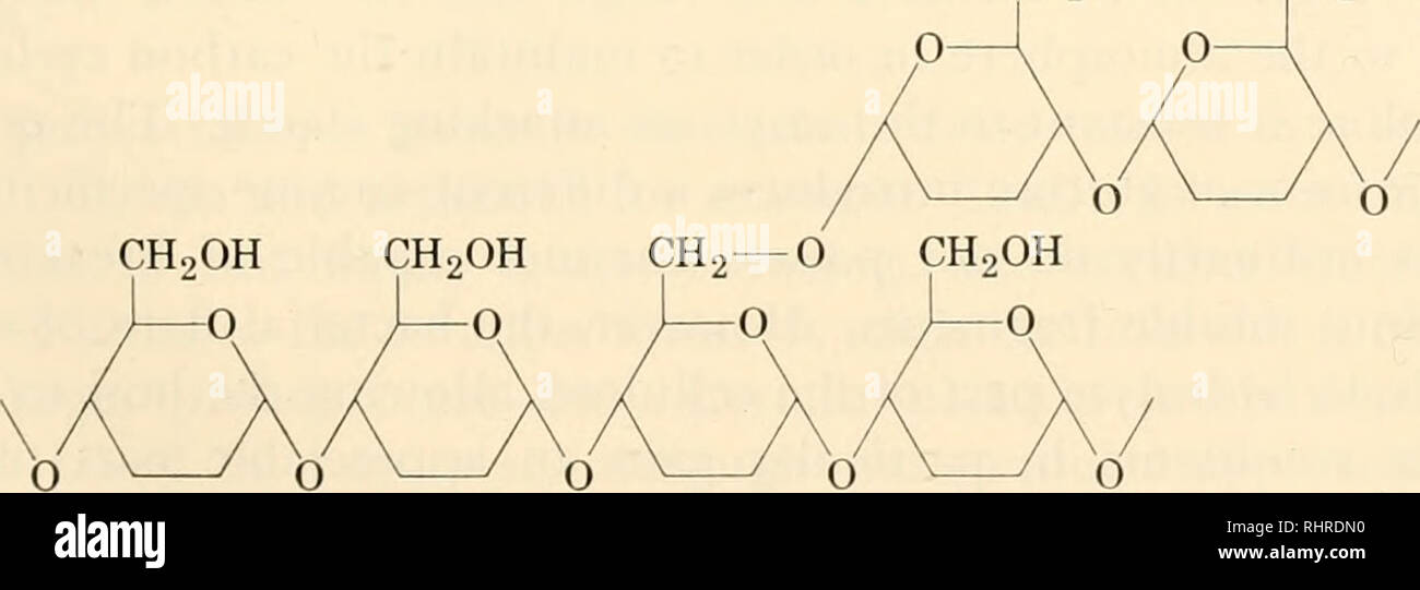 . Biochemistry of plants and animals, an introduction. Biochemistry ...
