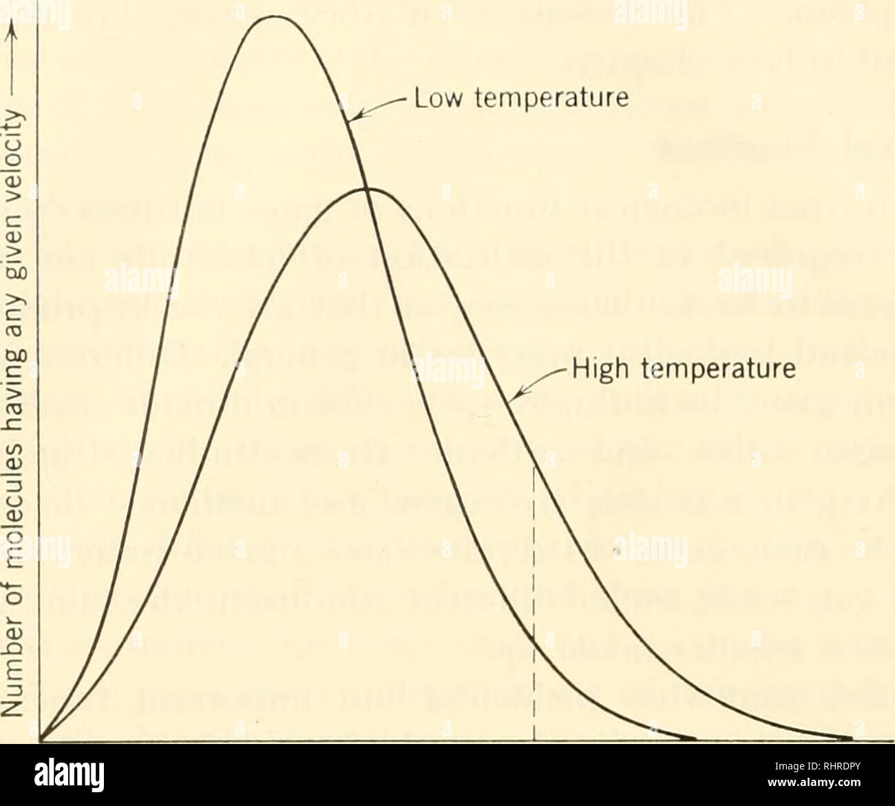 . Biochemistry of plants and animals, an introduction. Biochemistry. 22 ...